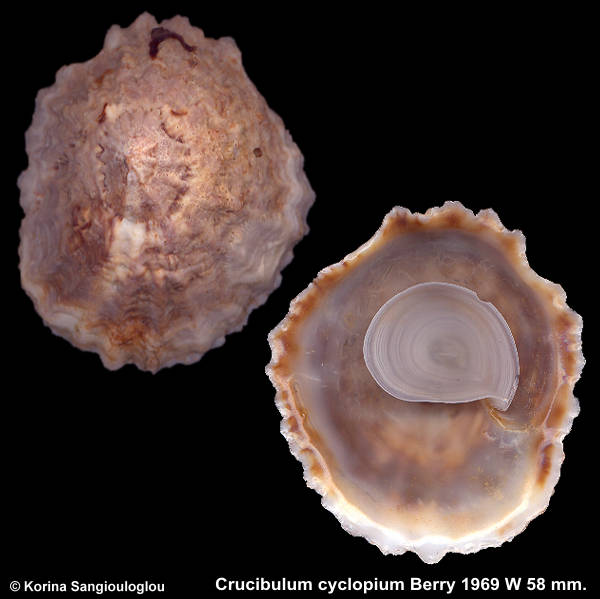 Fuente de la imagen : clic para ver la imagen y la liga